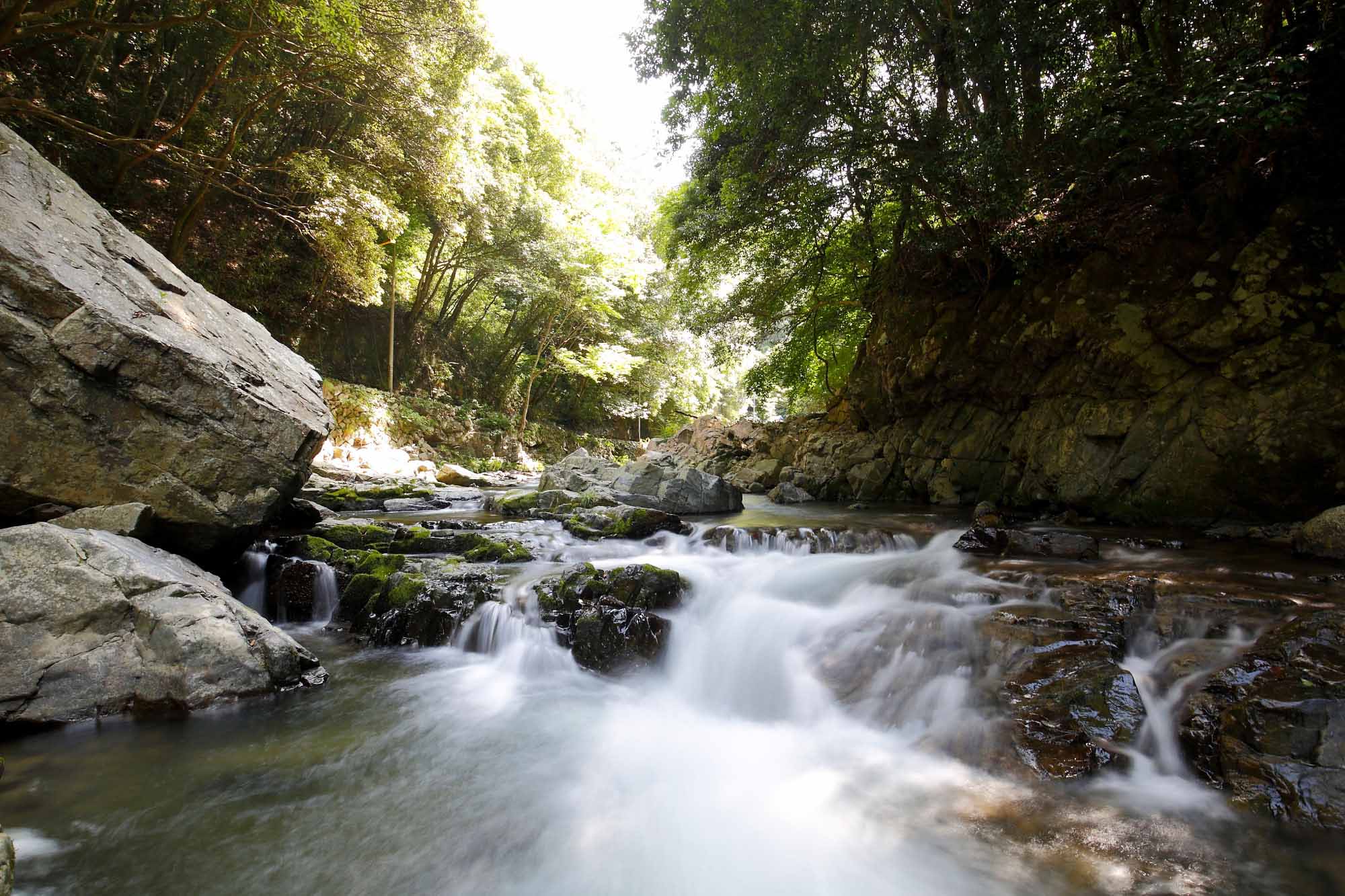 FAQ / Settsu-kyo park - Takatsuki City Tourist Association